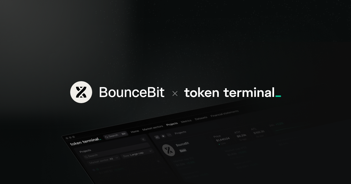 BounceBit overview | Token Terminal