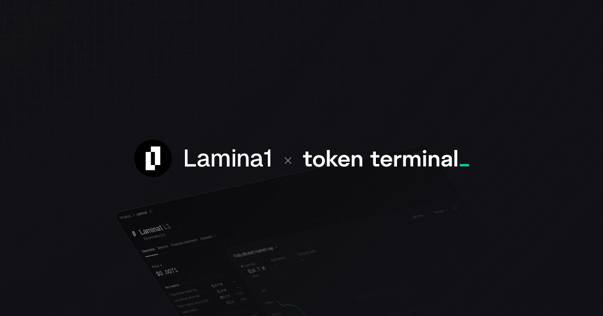 Lamina1 financial statement | Token Terminal