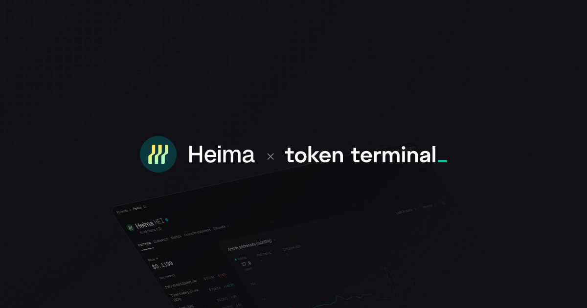 Litentry overview | Token Terminal